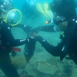 Chinese divers clean up ocean to help restore a clean blue planet - CGTN