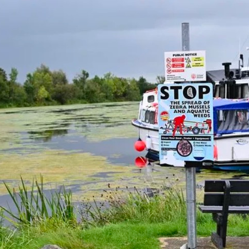 UK's largest freshwater lake drowning in toxic algae - CGTN