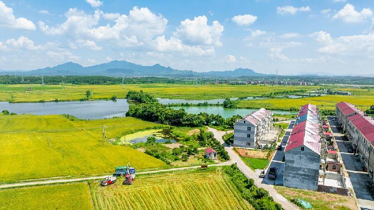 China pushes to advance agricultural, rural modernization - CGTN