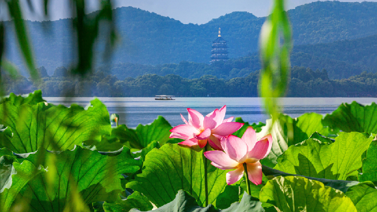 Beautiful changes of the West Lake - CGTN