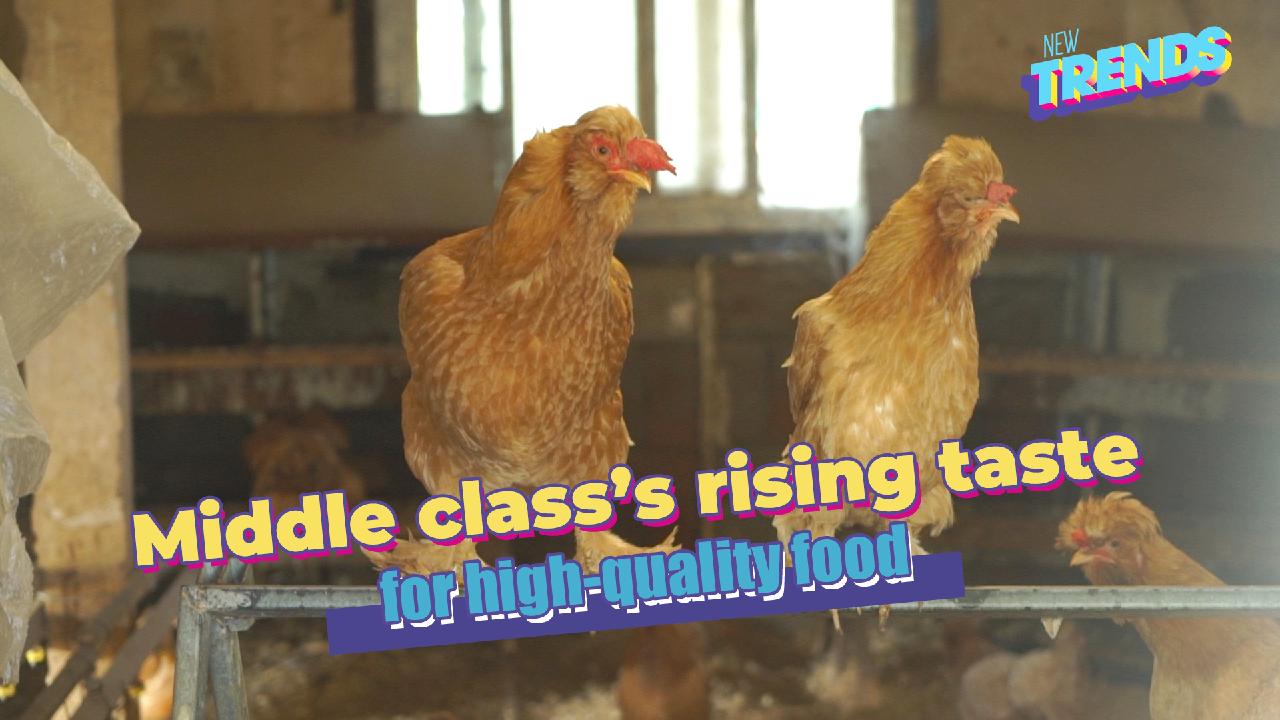 New Trends: middle class's rising taste for high quality food - CGTN