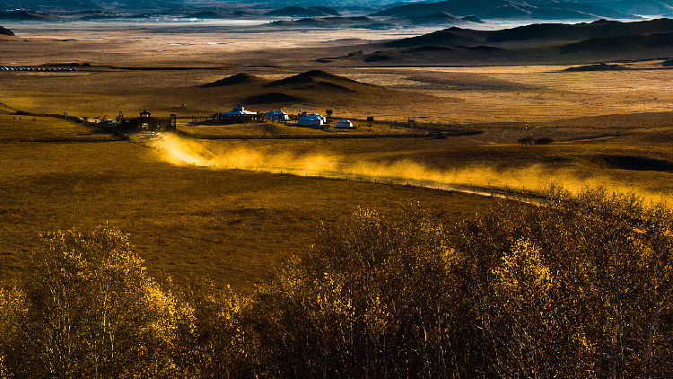 Live: Enjoy the beautiful autumn grasslands on the Saihanba Plateau - CGTN