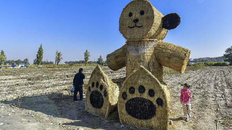 Fun scarecrows grab eyes in Urumqi - CGTN