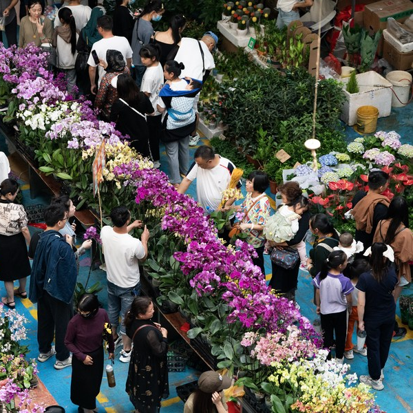 China golden week: domestic tourism revenue records 129.5% y/y rise - CGTN
