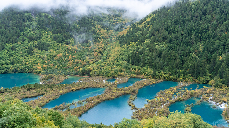 Discover a wonderland in the Jiuzhai Valley - CGTN