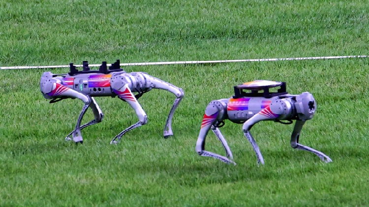 Futuristic robot dogs carry discuses at Hangzhou Asiad - CGTN