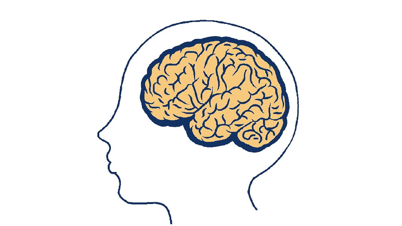 Scientists propose strategy for studying cognitive intelligence - CGTN