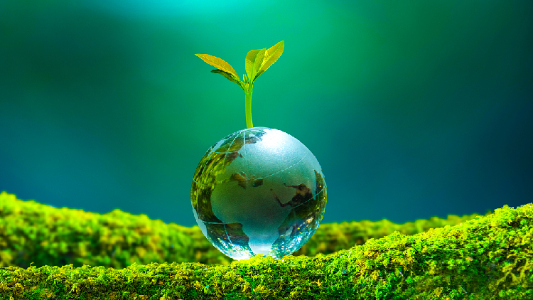 China promotes green development under Belt and Road Initiative - CGTN