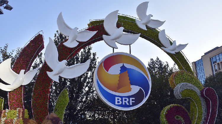 Global youth acknowledge the concepts and achievements of the BRI - CGTN