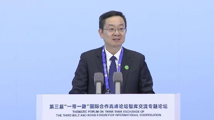 Dean of CASS: Outcomes of BRI will be great - CGTN