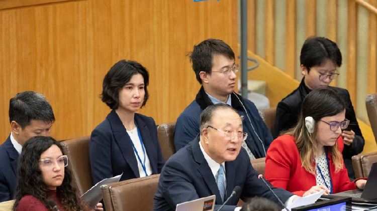 Developing countries support China's position at UN meeting - CGTN
