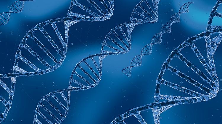 China registers 780,000 rare disease cases since 2019 - CGTN