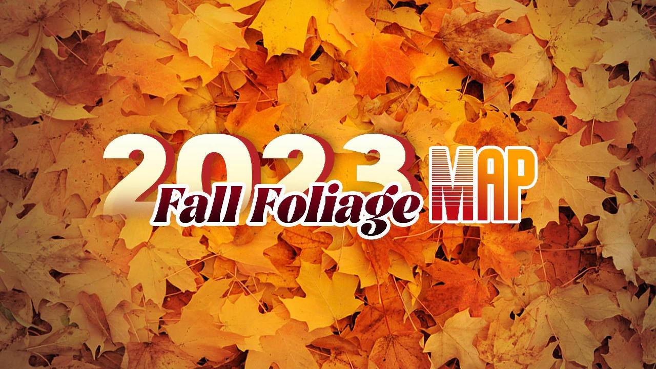 China's 2023 fall foliage map - CGTN