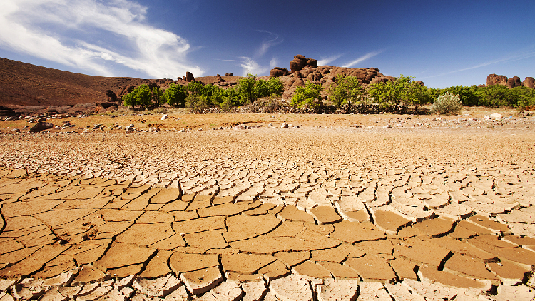Climate experts call for strengthening climate science ahead of COP28 ...