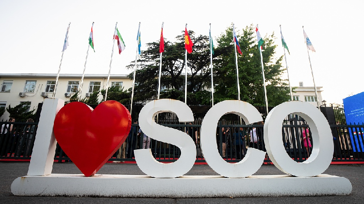 Why is SCO's circle of friends expanding? - CGTN