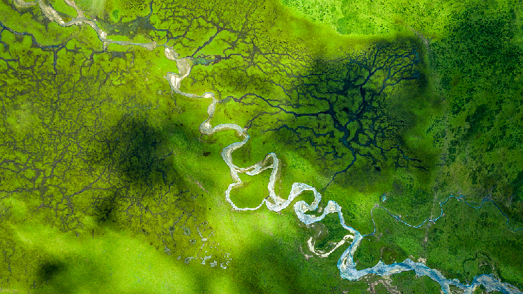 Water tower of China: Three-River Source National Park - CGTN