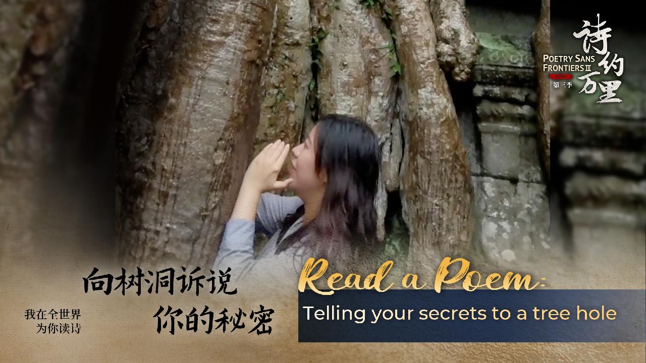 Read a Poem: Telling your secrets to a tree hole - CGTN