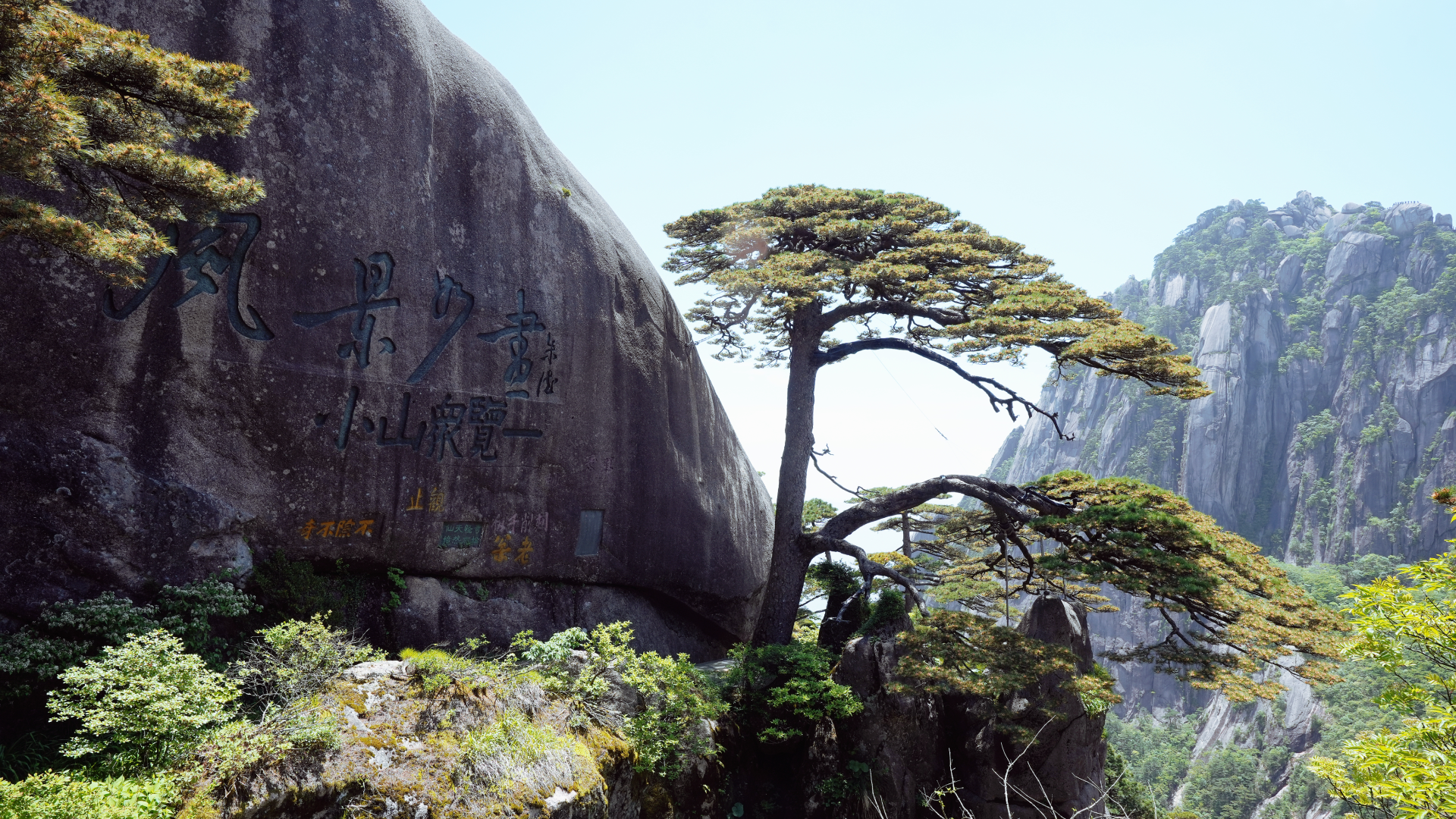 Pine Tree Symbolism China