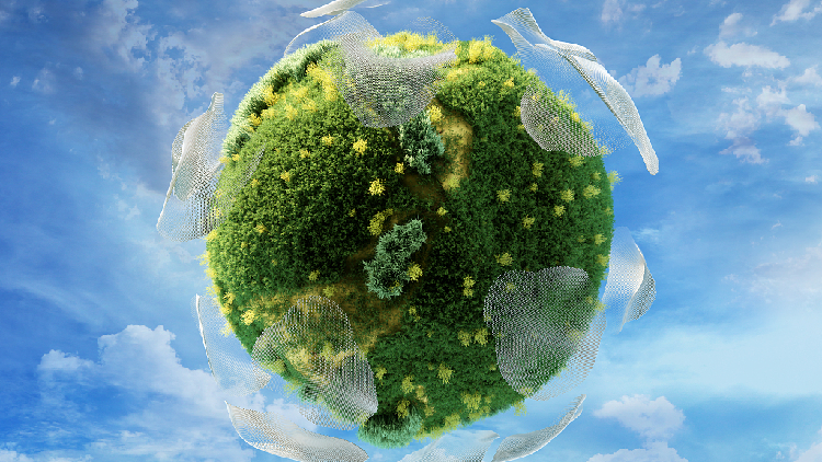 China, US to launch working group to jointly combat climate crisis - CGTN