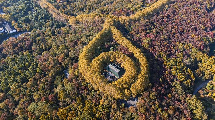 Meiling Palace, a home to stunning landscape design - CGTN