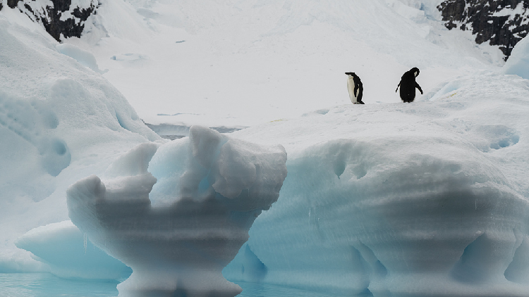 UN chief Guterres to visit Antarctica before COP28 climate summit - CGTN