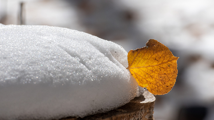 Cold wave sweeps across north China, yellow alert renewed - CGTN