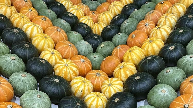 Shouguang, the 'vegetable-capital' in China - CGTN