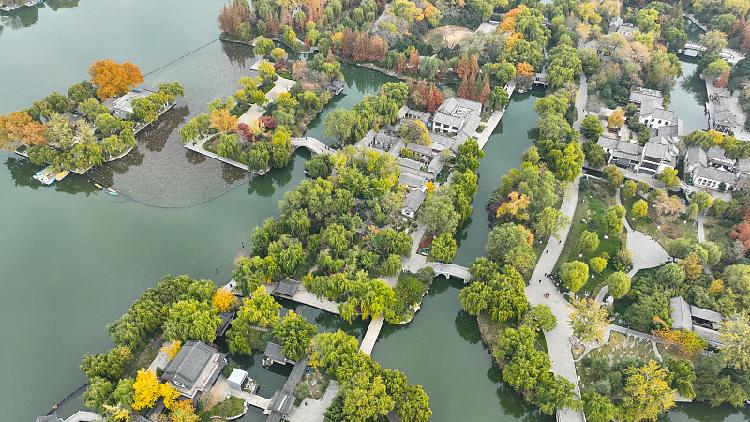 Daming Lake demonstrates charming winter vibe - CGTN