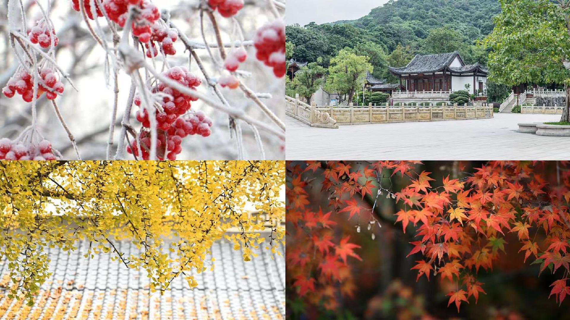 Live: Picturesque scenery across China in early winter - CGTN