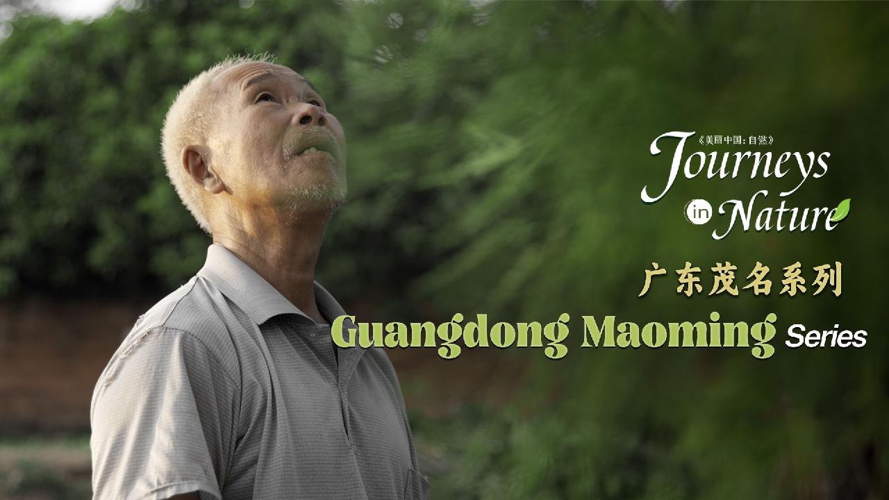 Guangdong Maoming Series Ep. 6: Couple in the water guarded by old man ...