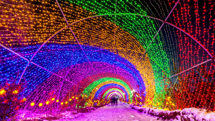 Live: Enjoy a winter paradise in northeast China's Changchun City - CGTN