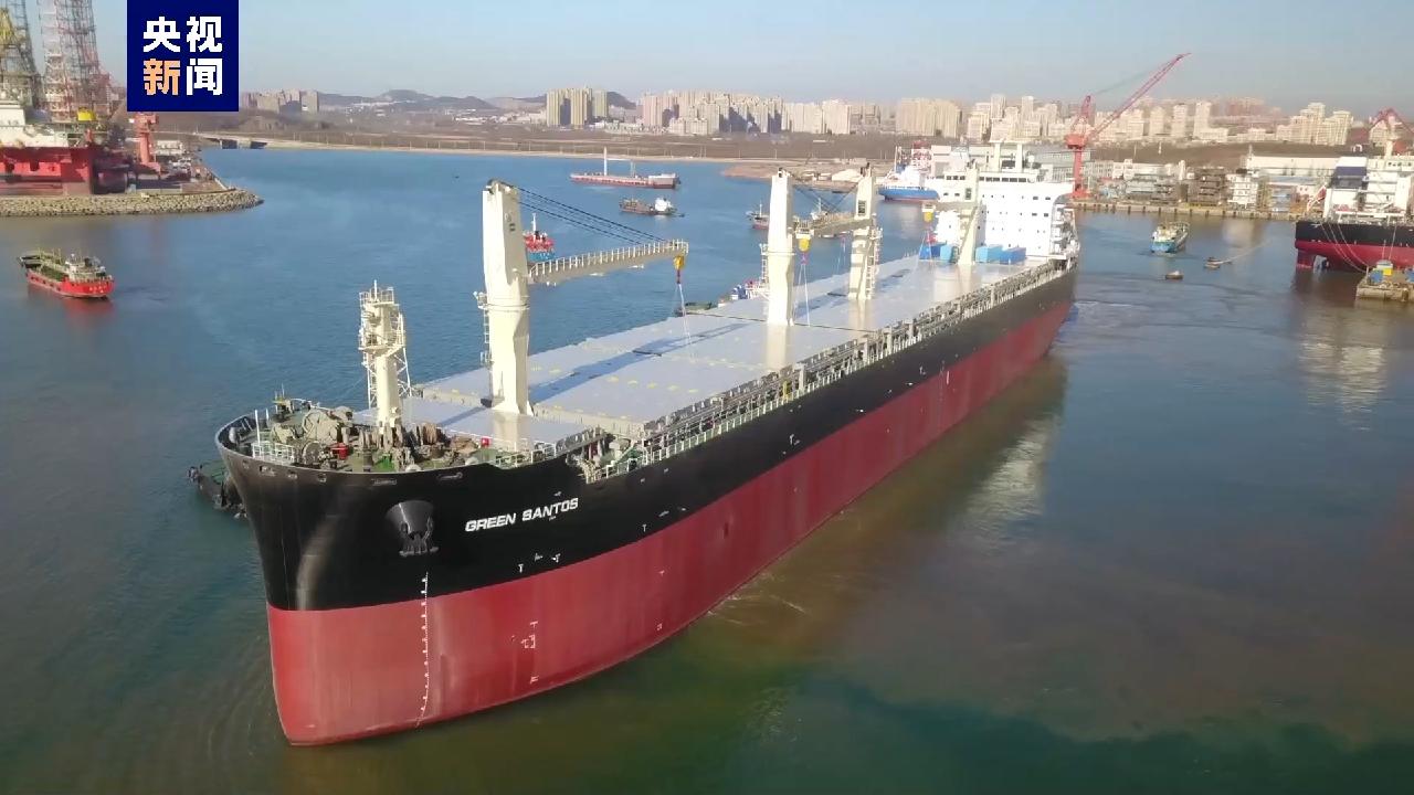 World's largest multi-purpose pulp vessel delivered in NE China - CGTN