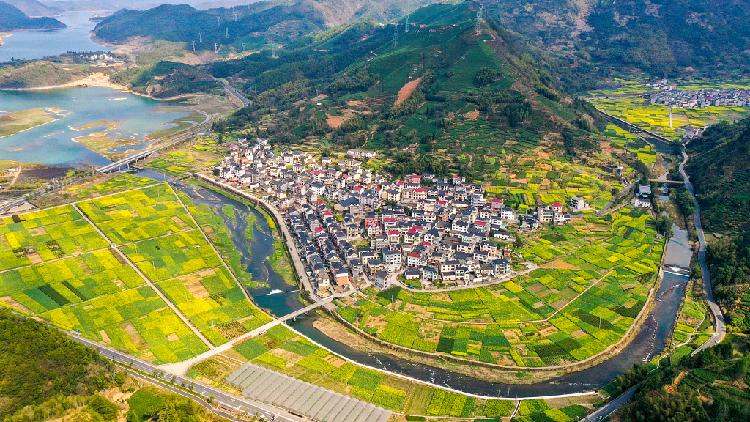 CMG releases top 10 news stories on China's rural revitalization in ...