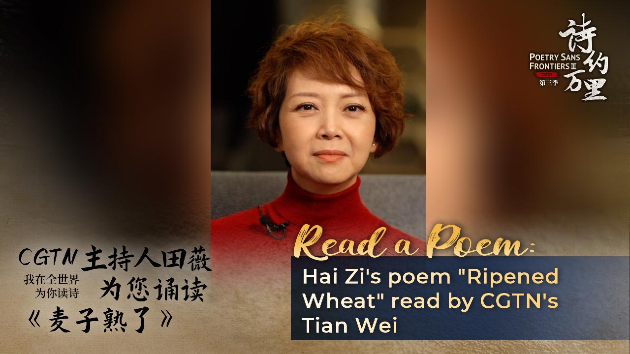 Read a Poem: Hai Zi's 'Ripened Wheat' read by CGTN's Tian Wei - CGTN