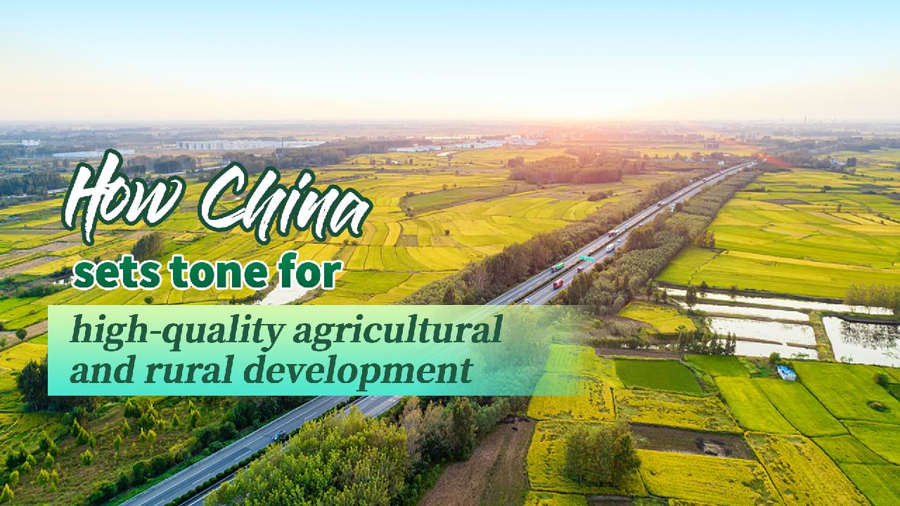 How China sets tone for high-quality agricultural, rural development - CGTN