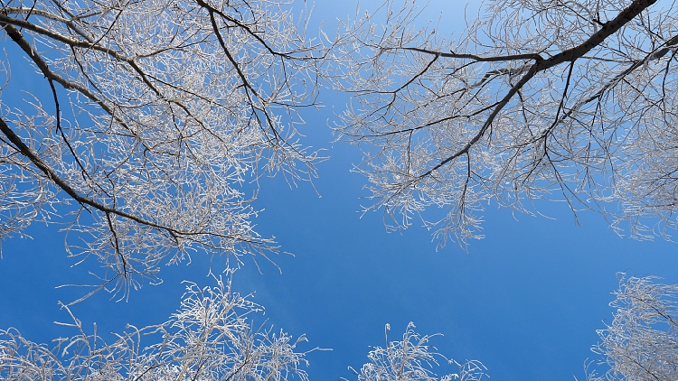 Live: Splendid winter view in China's Xinjiang - CGTN