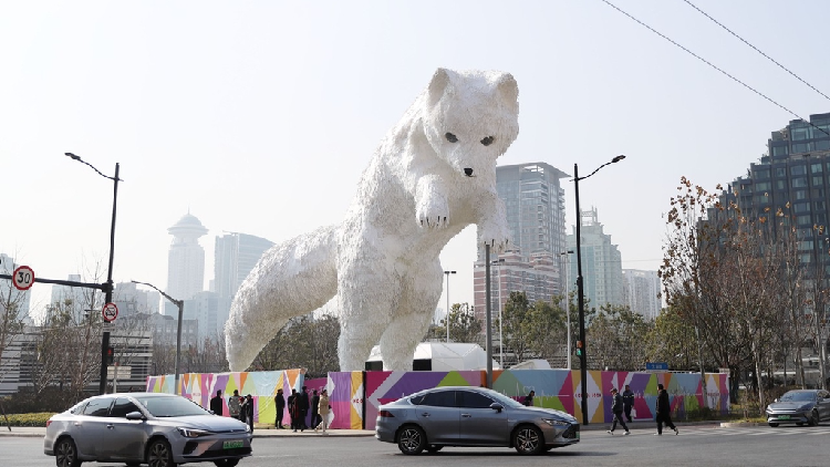'Arctic Fox' leaps on Shanghai street corner - CGTN