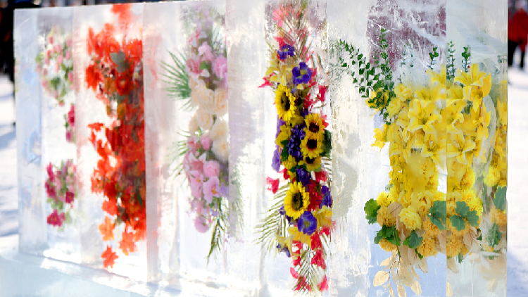 Ice-encased flowers displayed in Changchun - CGTN