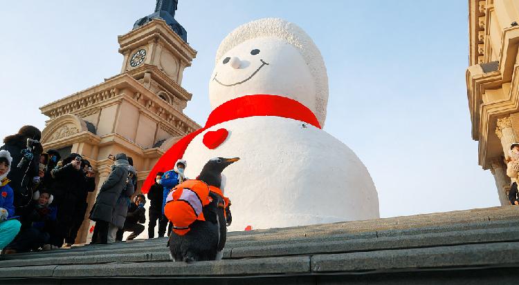Live: Giant snowman makes annual appearance in NE China's Harbin - CGTN