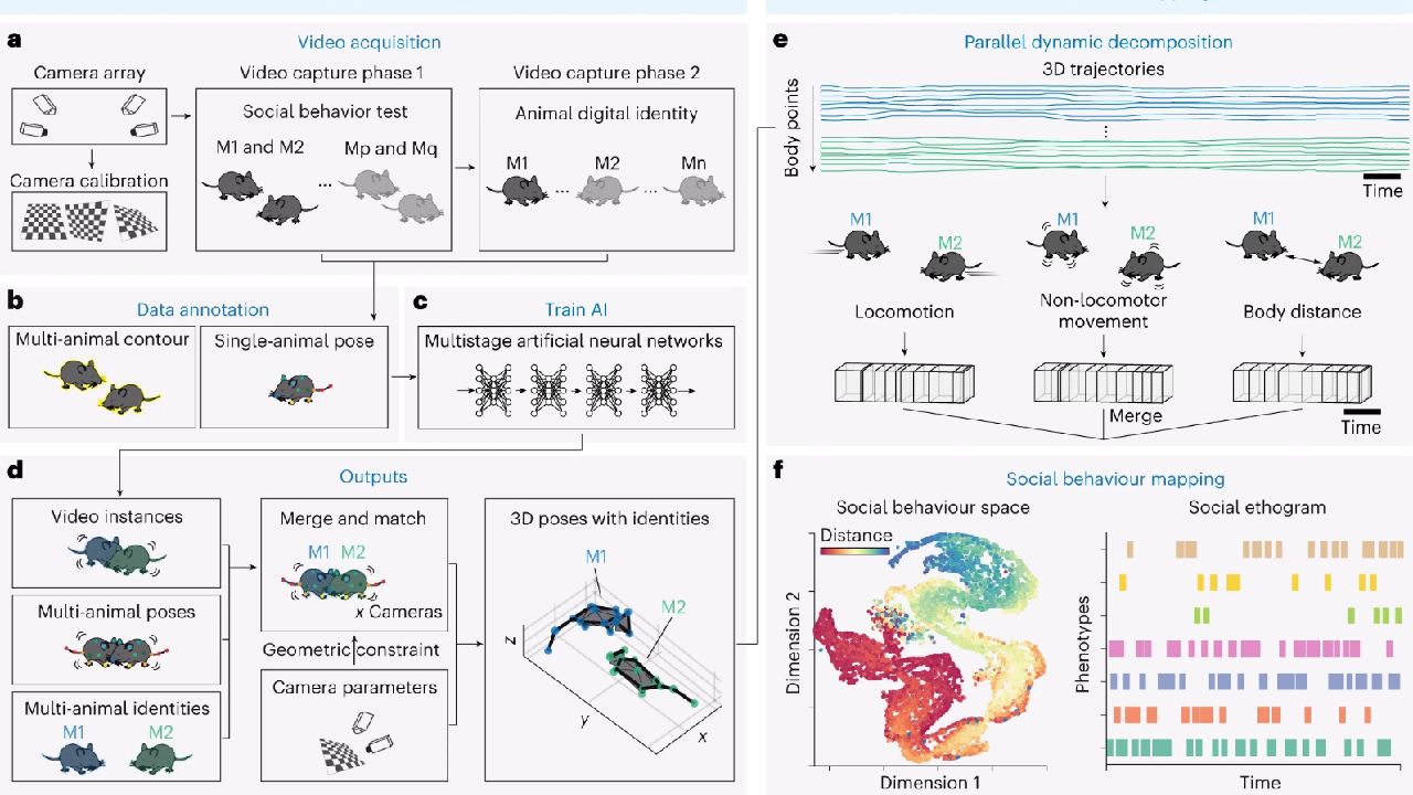 AI technology helps interpret animal social behavior - CGTN