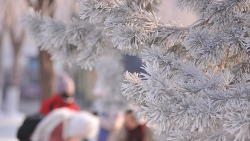 Stunning winter scenery draws crowds in Harbin - CGTN