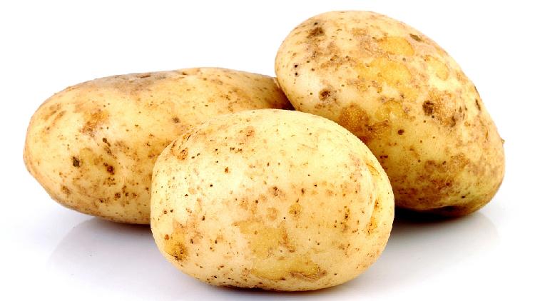 Space-exposed potato seeds enter experimental planting stage in China ...
