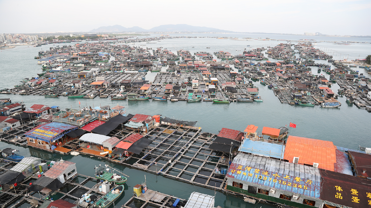 Floating fishing village thriving on tourism - CGTN