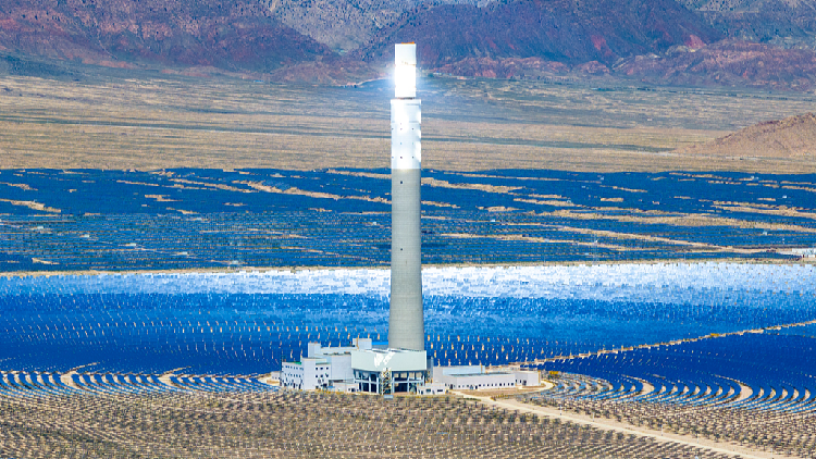 IEA chief sees China as world champion in green energy - CGTN