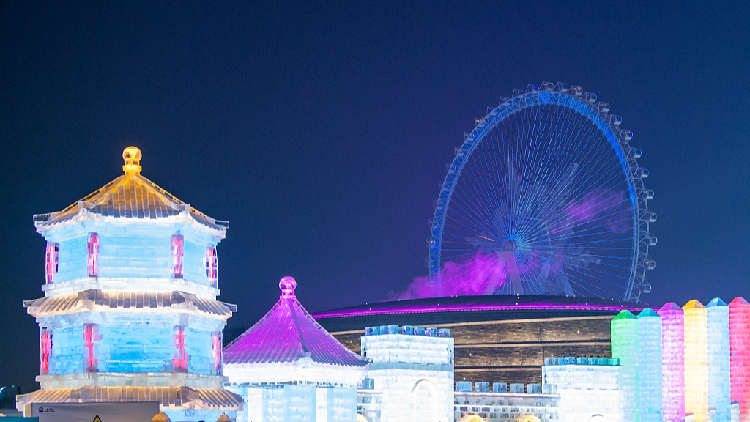 Live: Harbin Ice and Snow World wows visitors with amazing sculptures ...