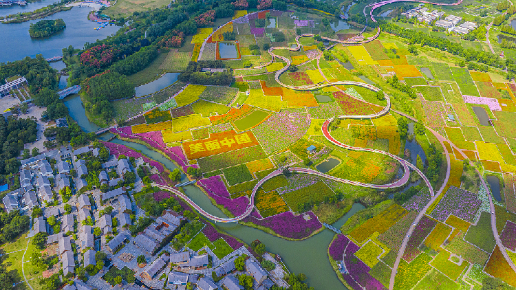 China's State Council mulls measures to advance rural revitalization - CGTN