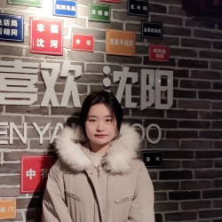 Stringer Dispatch: How a local youth spent a day in Shenyang - CGTN