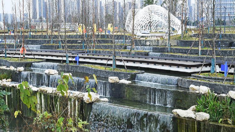 Reclaimed water wetland park opens to the public in Chengdu - CGTN