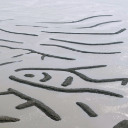 Who draws the oracle bone script on the seashore? - CGTN