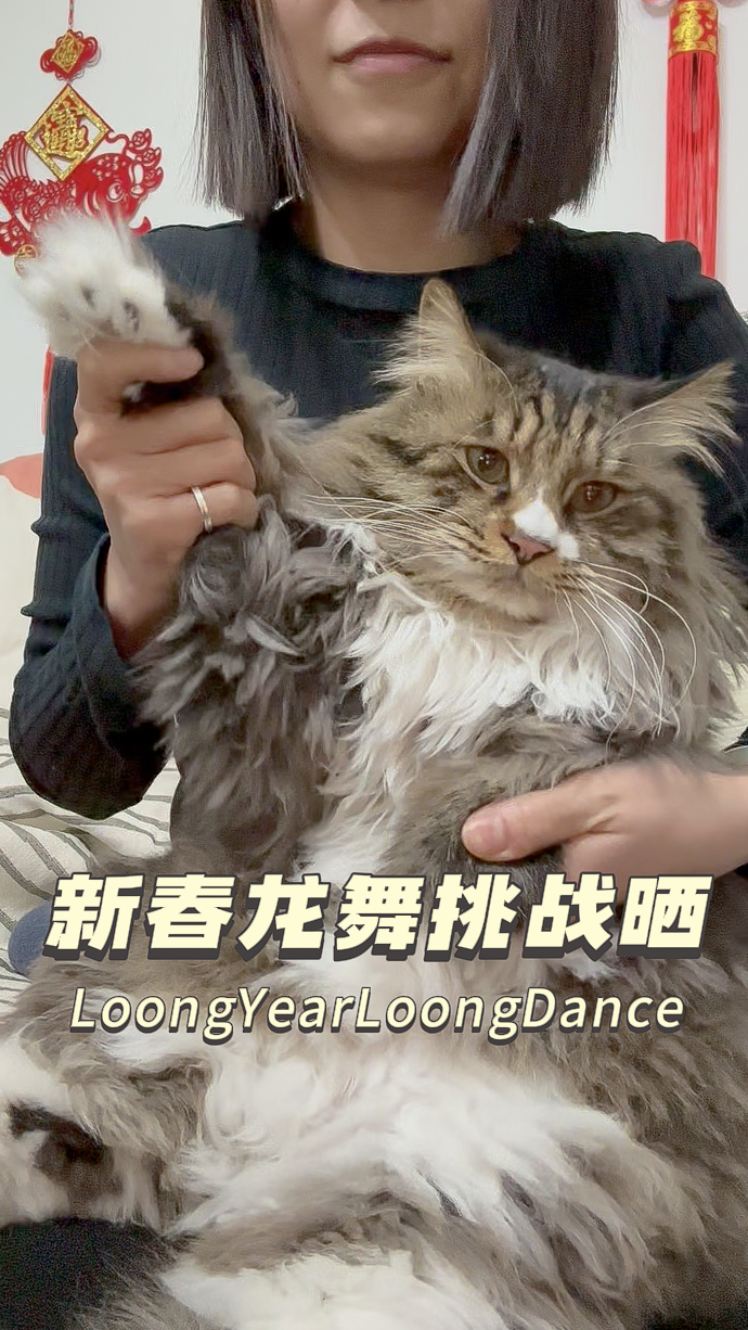 LOONG YEAR LOONG DANCE